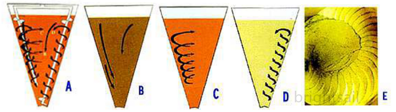 BSD Double Auger Conical Mixer - Buy double auger conical mixer Product ...